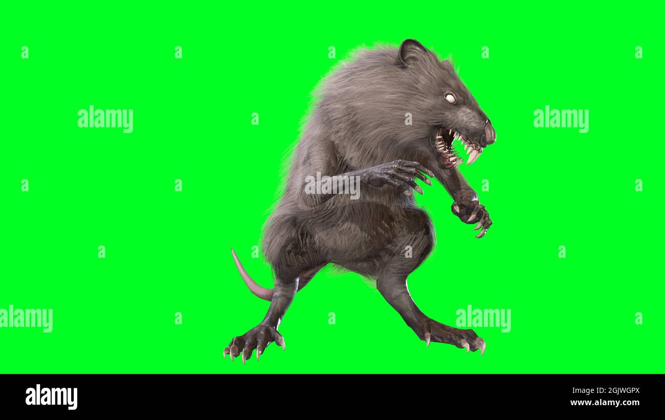 Mythical WereRat monster on chromakey background 3d render Stock Photo ...