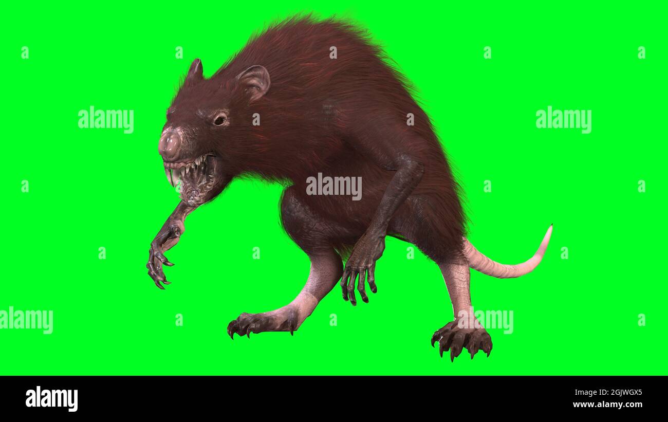 Mythical WereRat monster on chromakey background 3d render Stock Photo ...