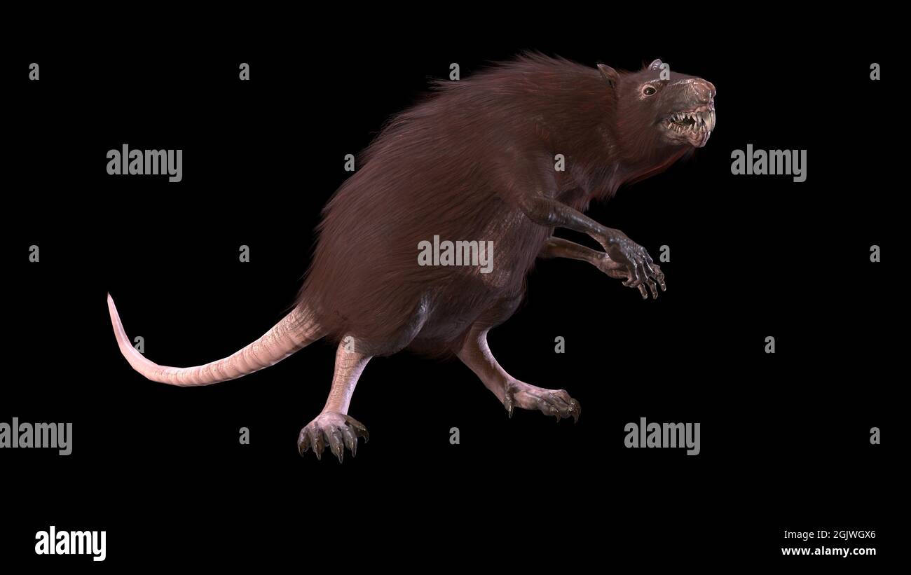 Mythical WereRat monster on chromakey background 3d render Stock Photo ...