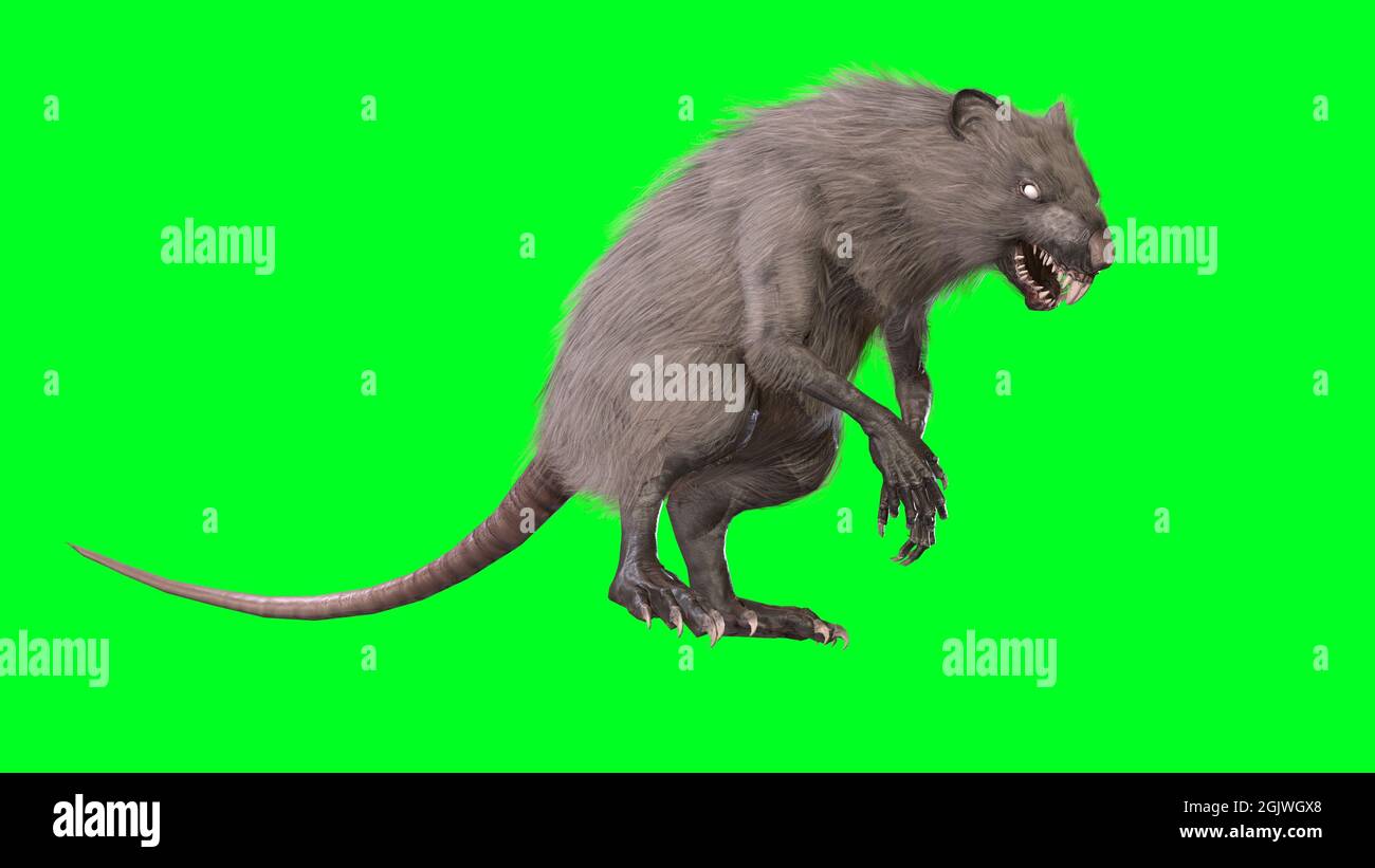 Mythical WereRat monster on chromakey background 3d render Stock Photo ...