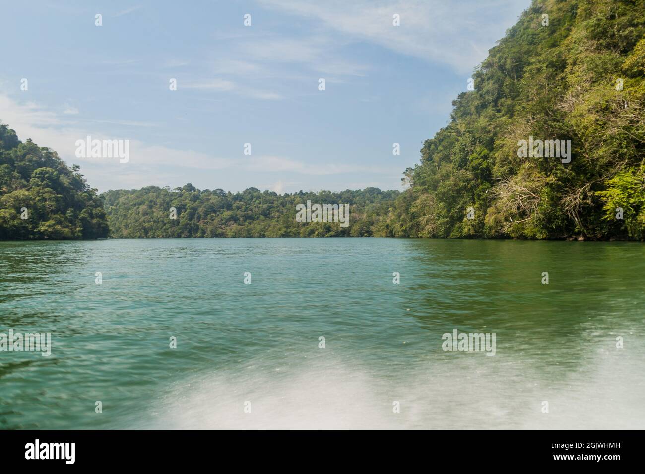 Forest lining the Rio Dulce river, Guatemala Stock Photo - Alamy