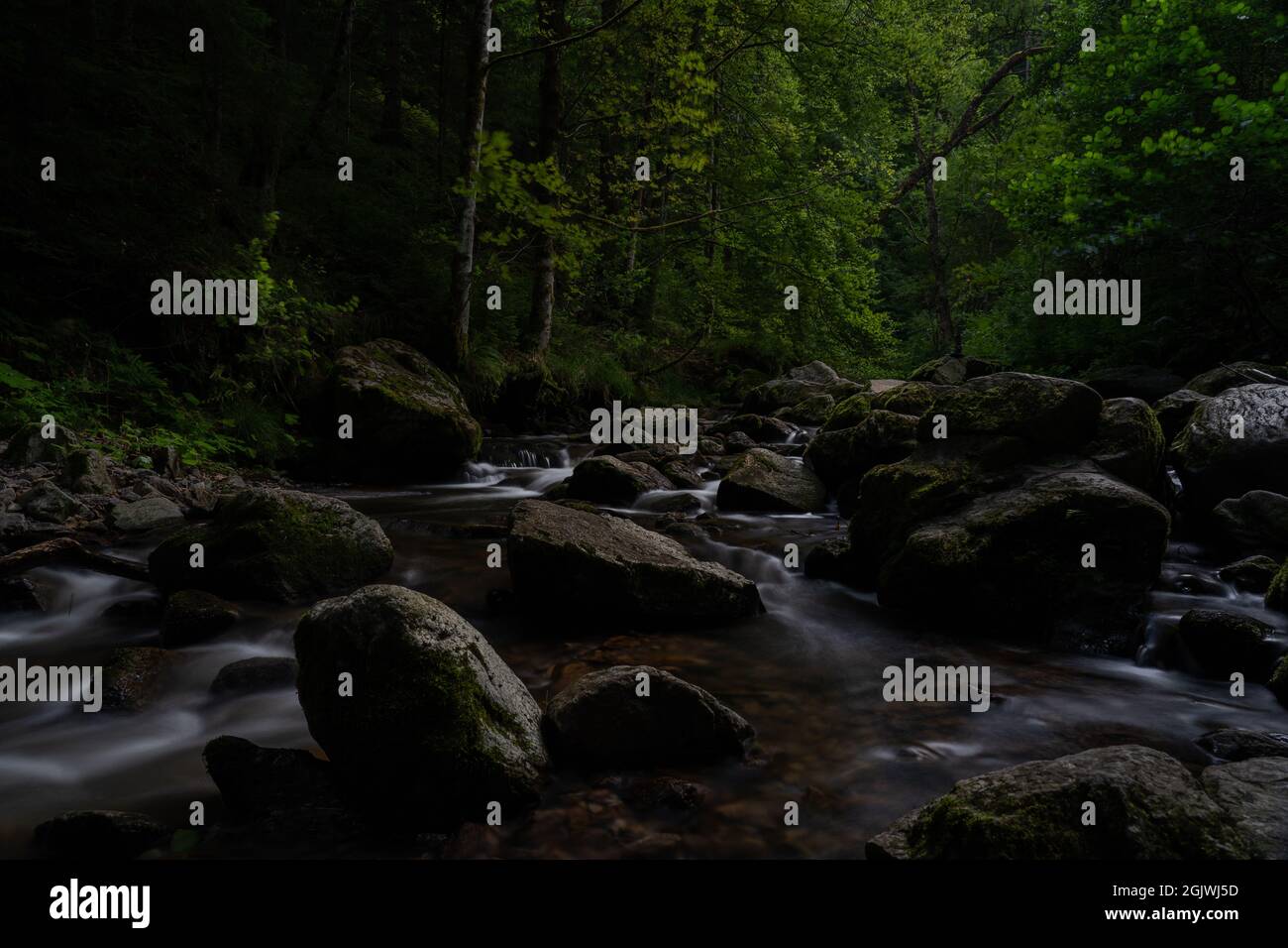 ravenna canyon in the black forest (Schwarzwald Stock Photo - Alamy
