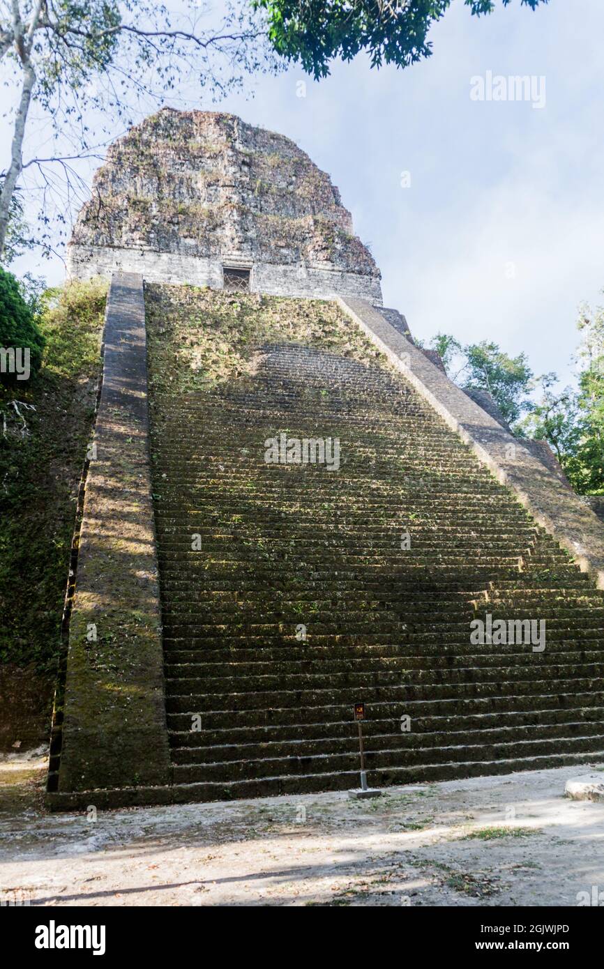 Temple V at the archaeological site Tikal, Guatemala Stock Photo - Alamy