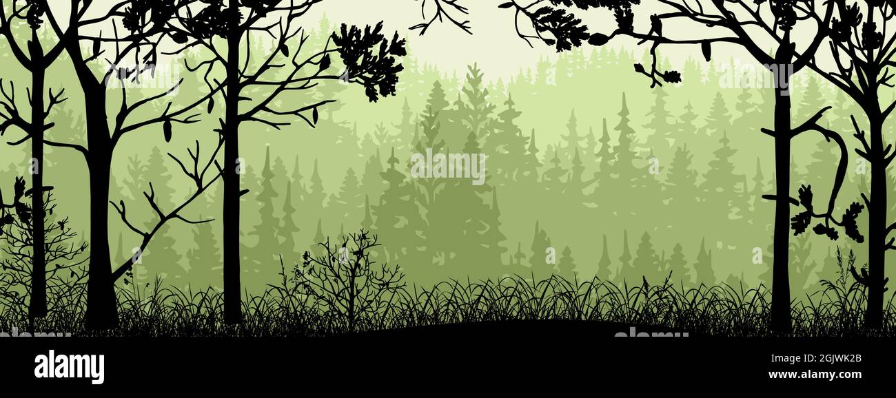 Horizontal banner of forest background, silhouettes of trees, bushes ...