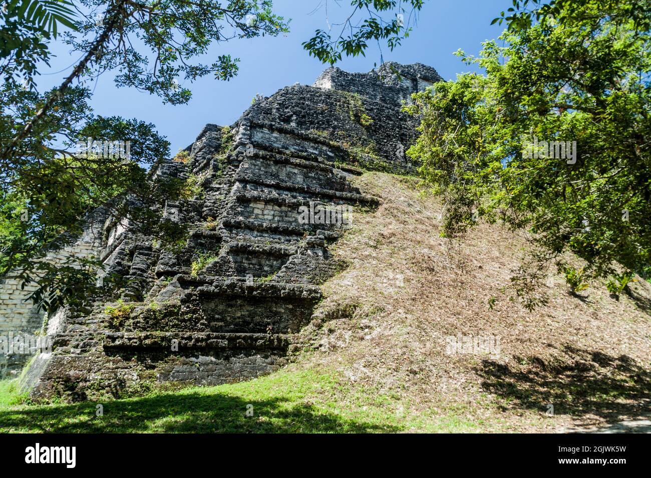 Pyramid at the archaeological site Tikal, Guatemala Stock Photo - Alamy