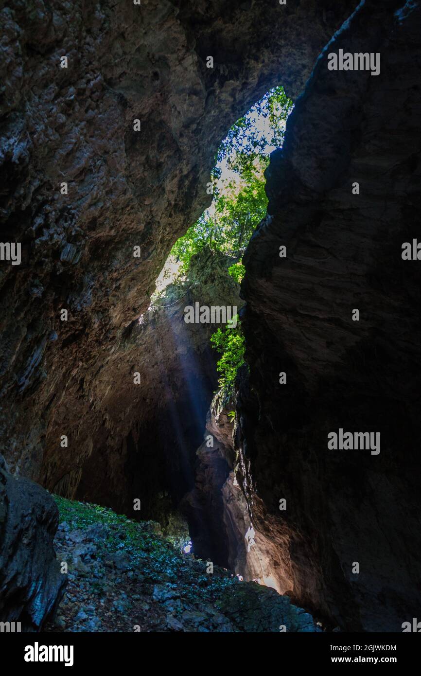 Cueva El Jardin Garden Cave , part of the Candelaria cave complex, near ...