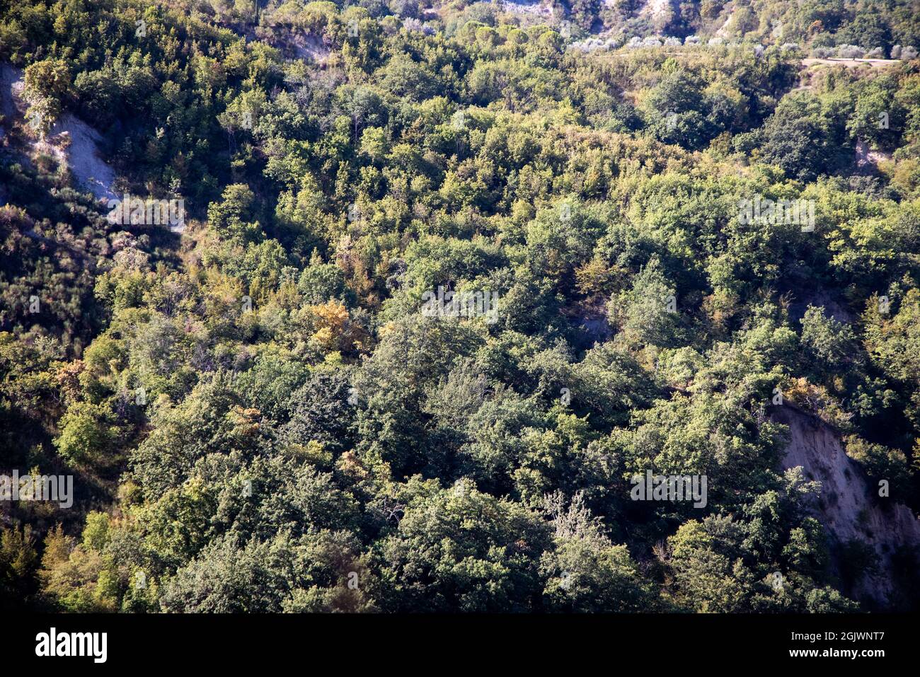 Beautiful view of the forest of Toscana Italy from above photographed ...