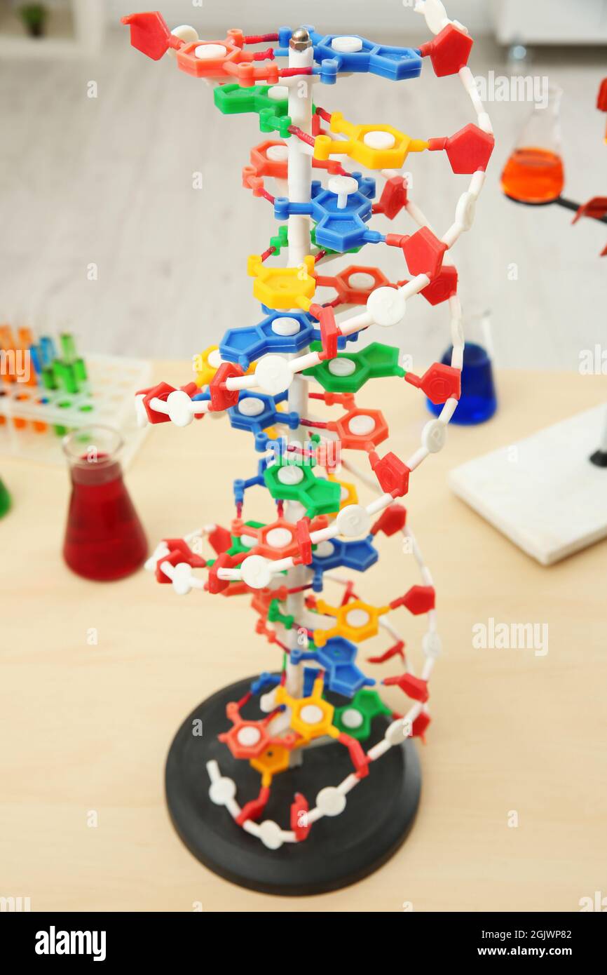 Plastic DNA model, closeup Stock Photo - Alamy