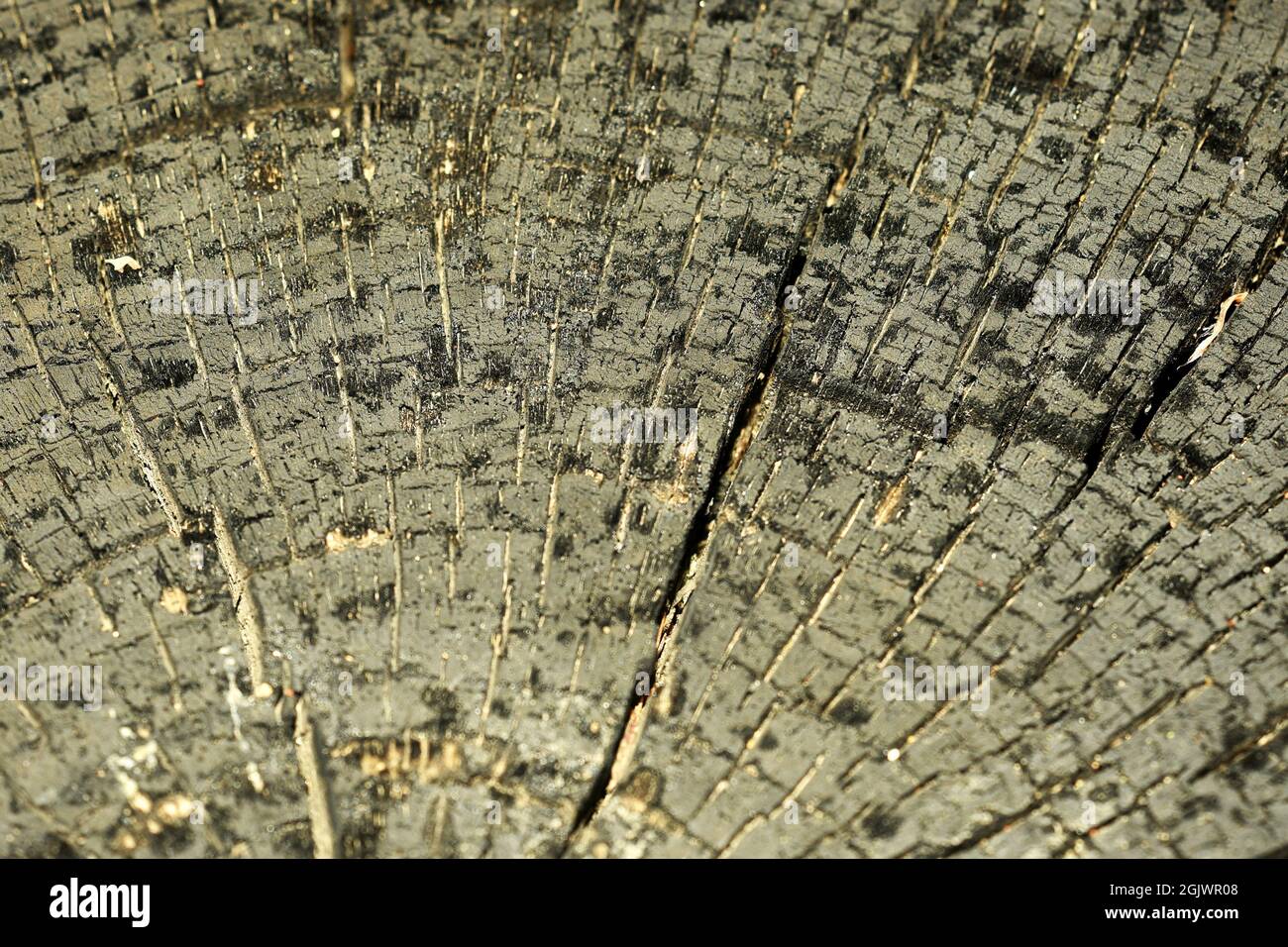 Textured focus ring hi-res stock photography and images - Alamy