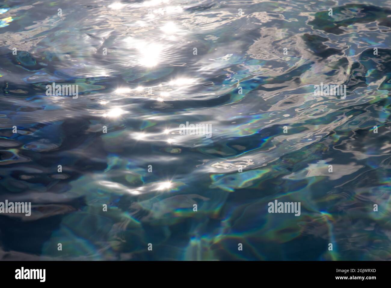 Shiny water of swimming pool on a sunny summer day. Close up of blue ...