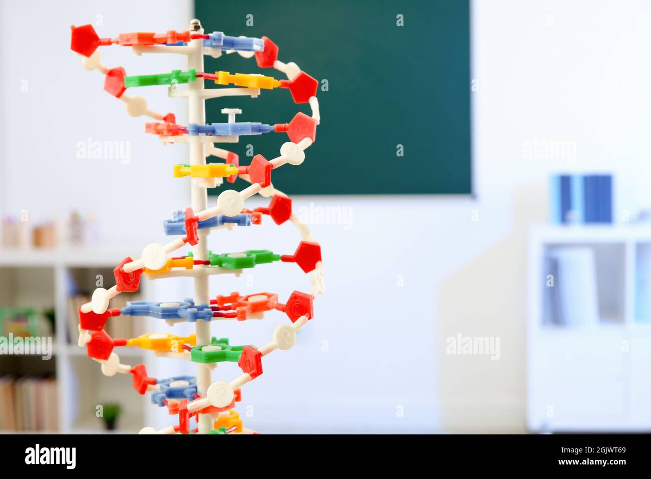 Plastic DNA model, closeup Stock Photo - Alamy
