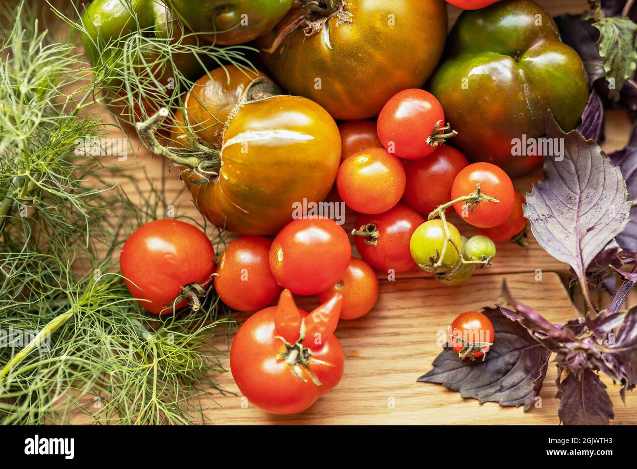 Ripe vegetables with herbs on a wooden background.Harvest from the ...