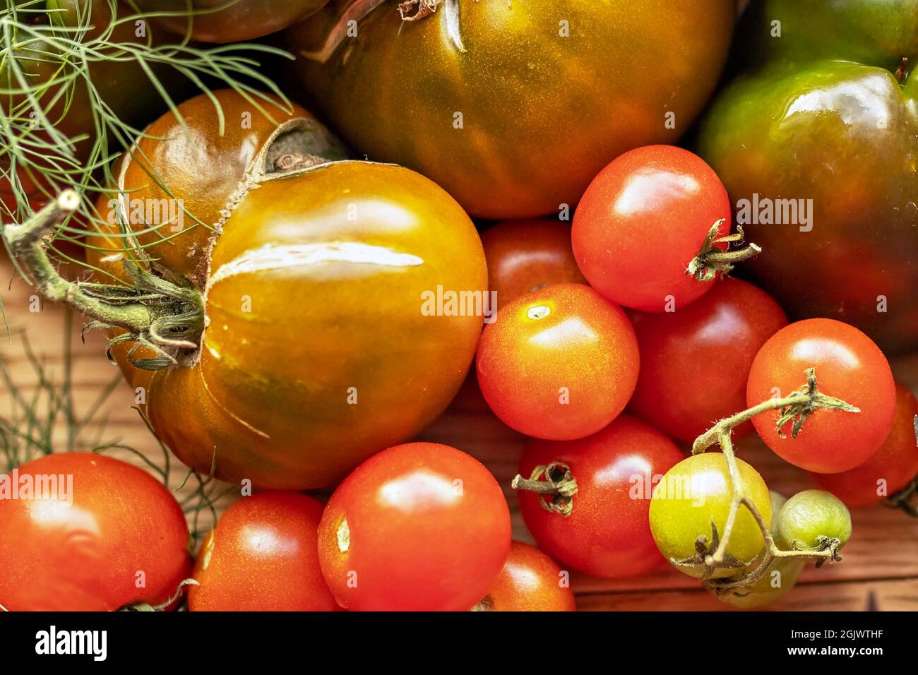 Ripe vegetables with herbs on a wooden background.Harvest from the ...