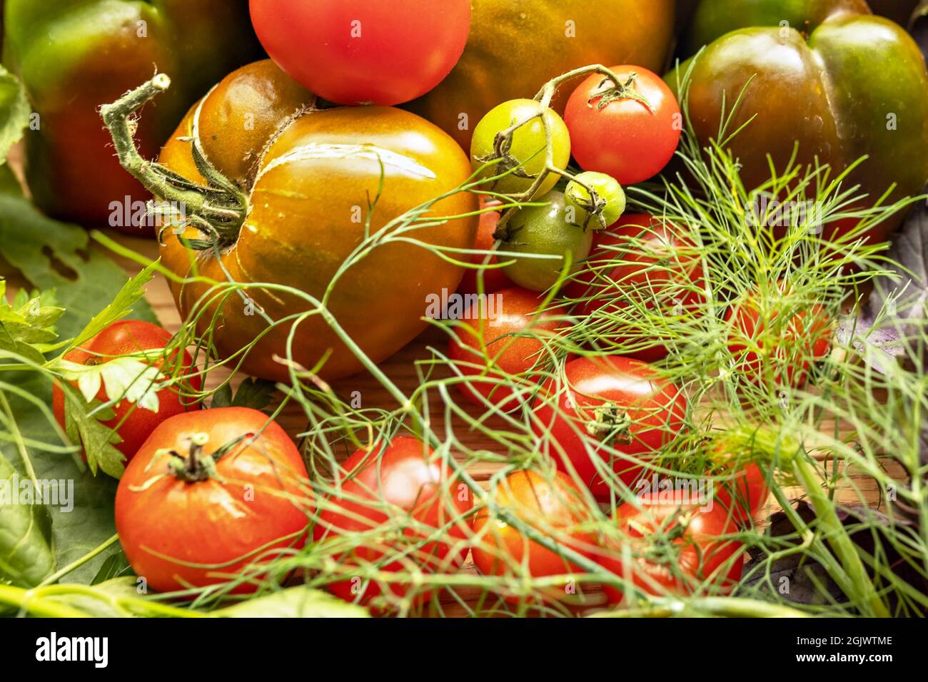 Ripe vegetables with herbs on a wooden background.Harvest from the ...