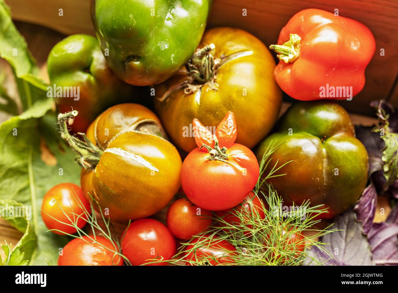 Ripe vegetables with herbs on a wooden background.Harvest from the ...