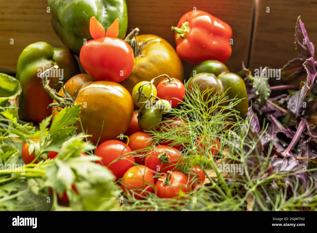 Ripe vegetables with herbs on a wooden background.Harvest from the ...