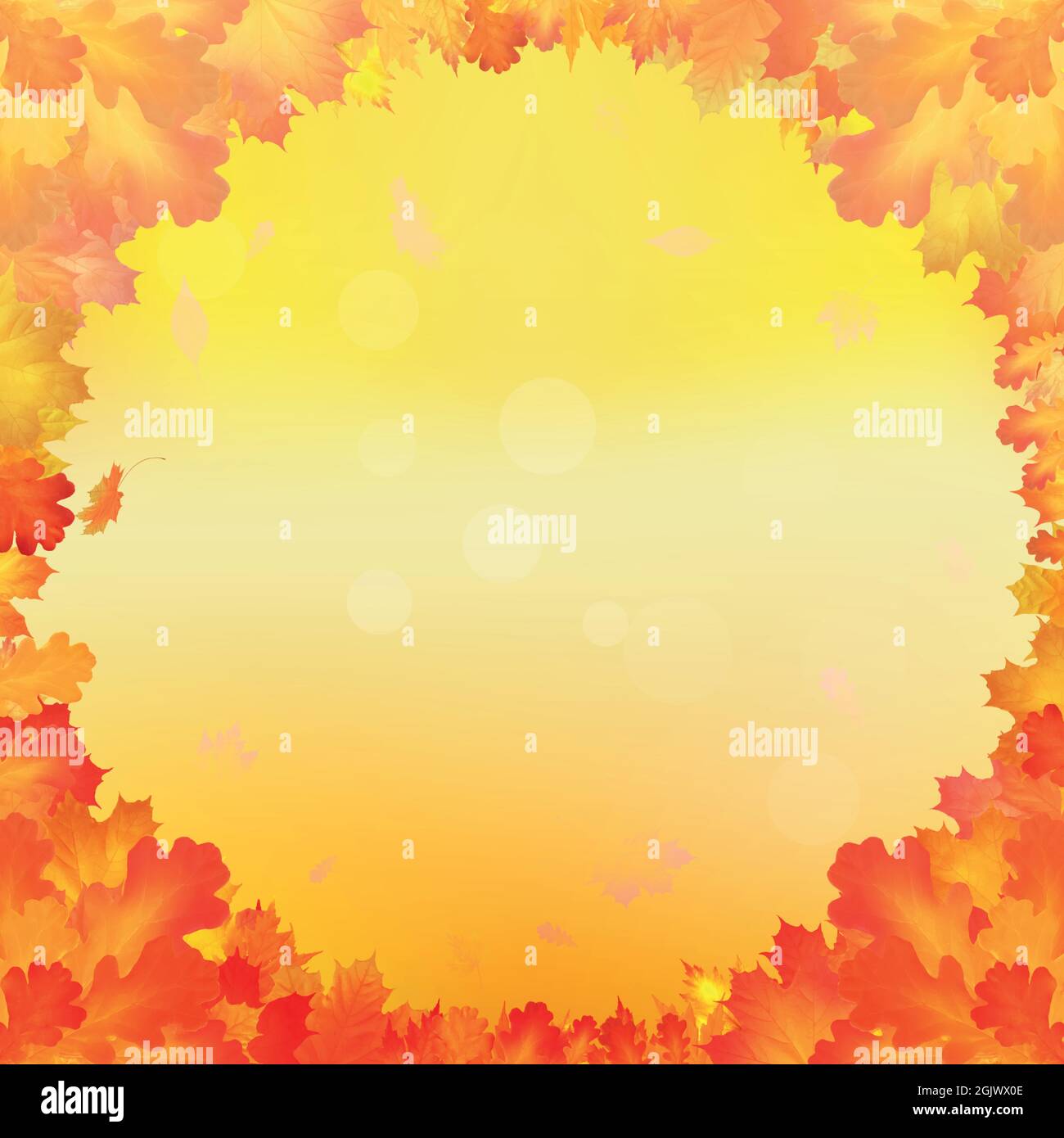 Gold Autumn background. Golden maple and oak leaves. Vector Stock ...