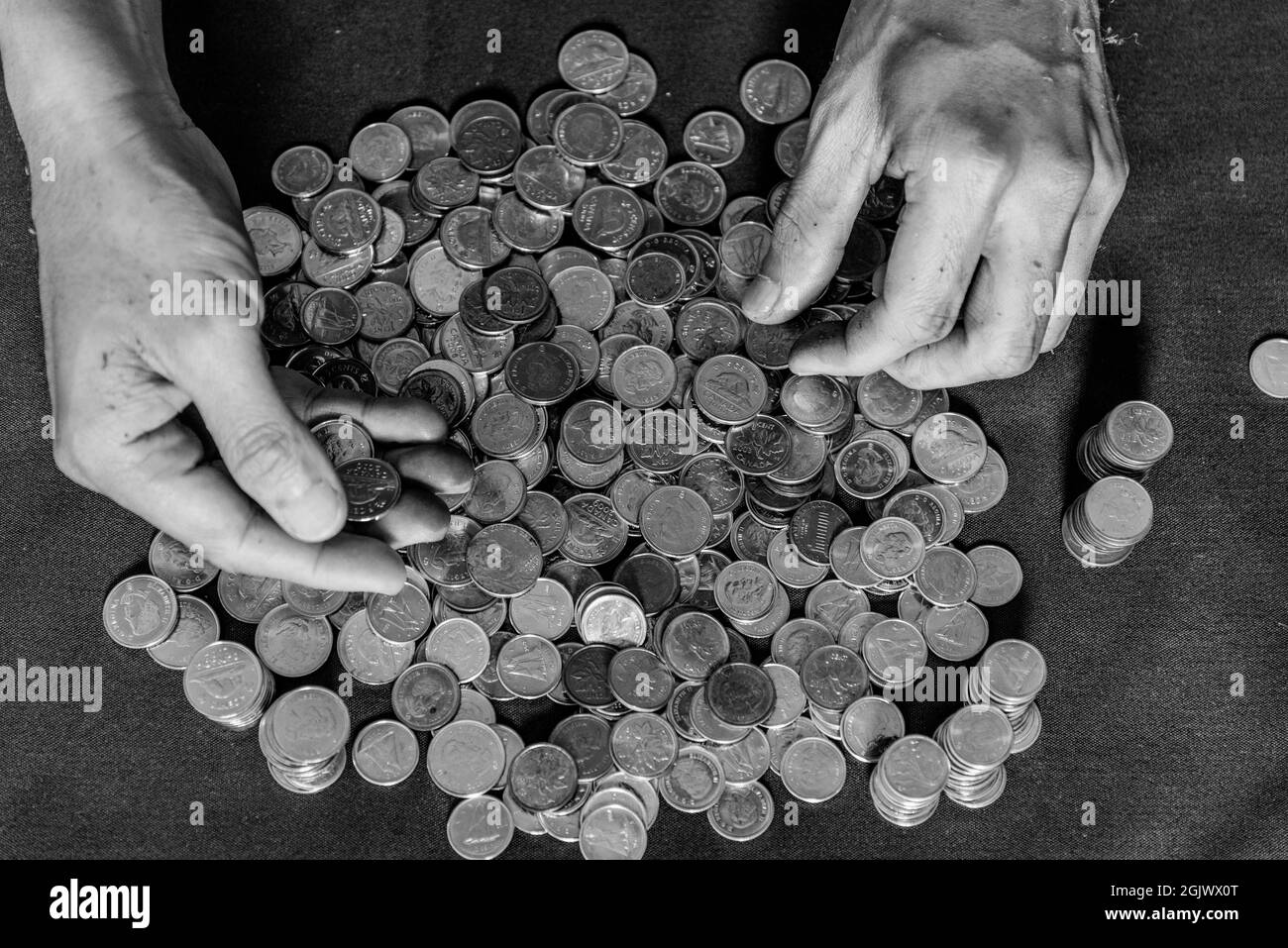 counting coins, coins, penny, cents Stock Photo - Alamy