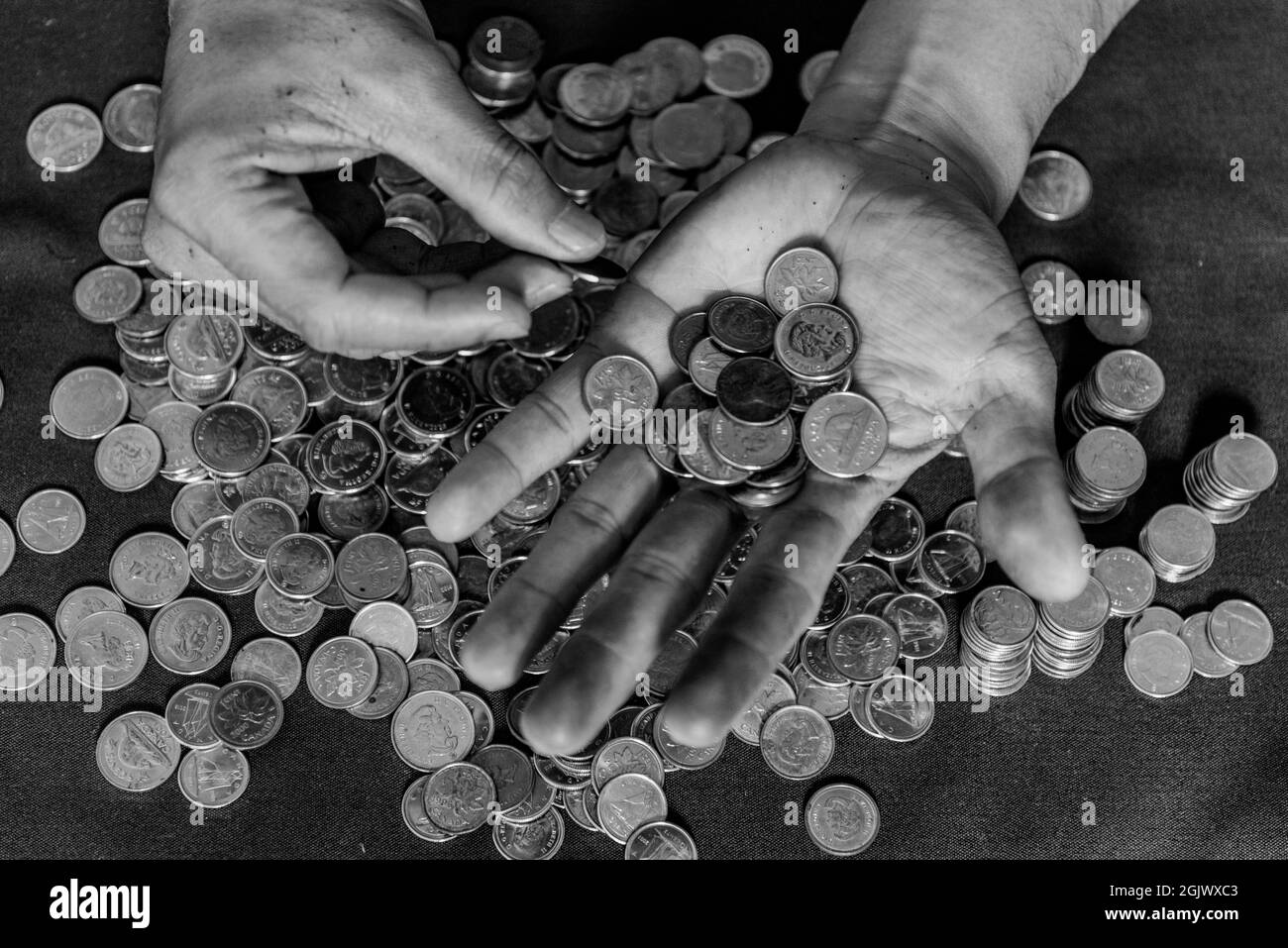 counting coins, coins, penny, cents Stock Photo - Alamy