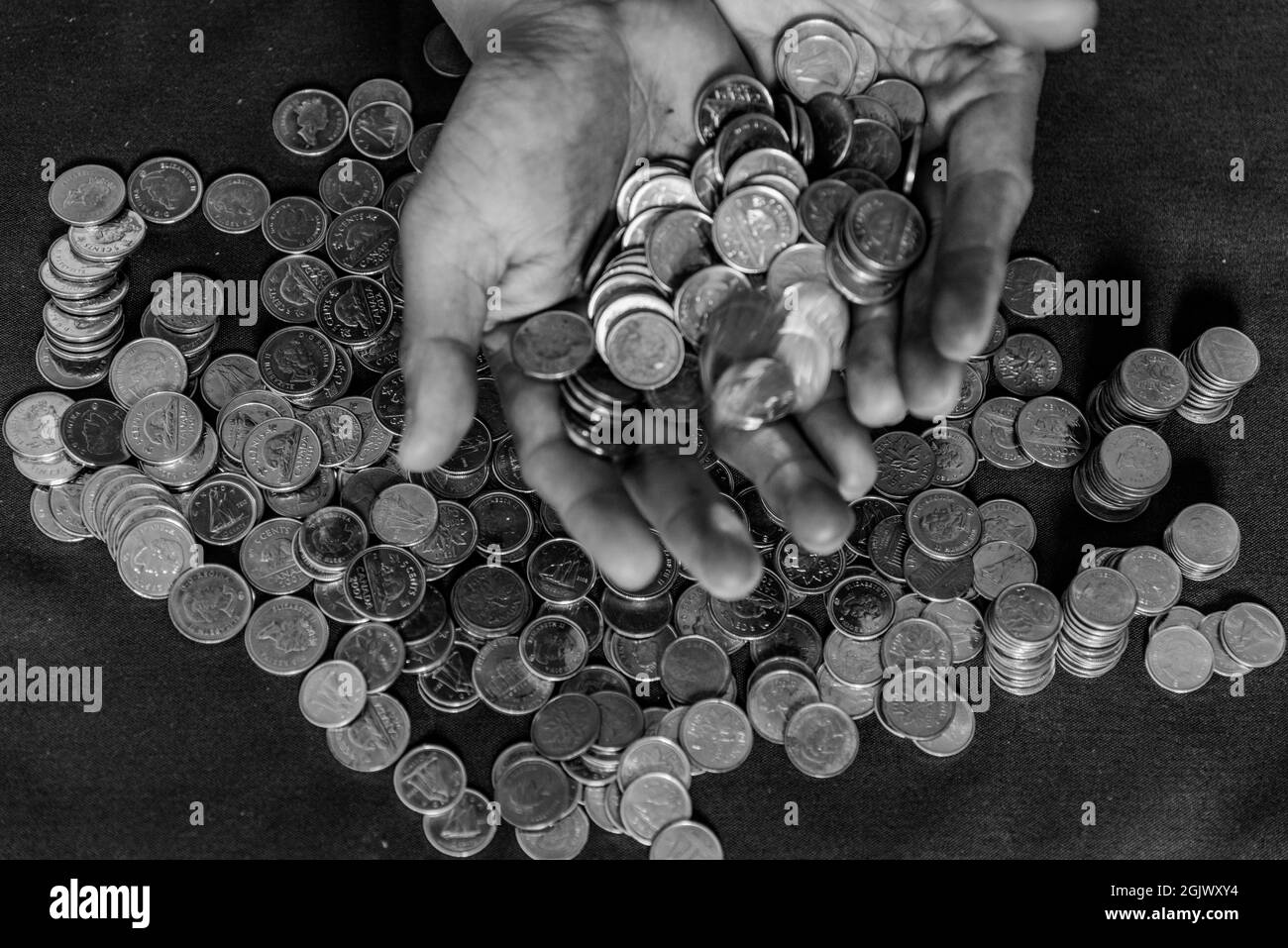 counting coins, coins, penny, cents Stock Photo - Alamy