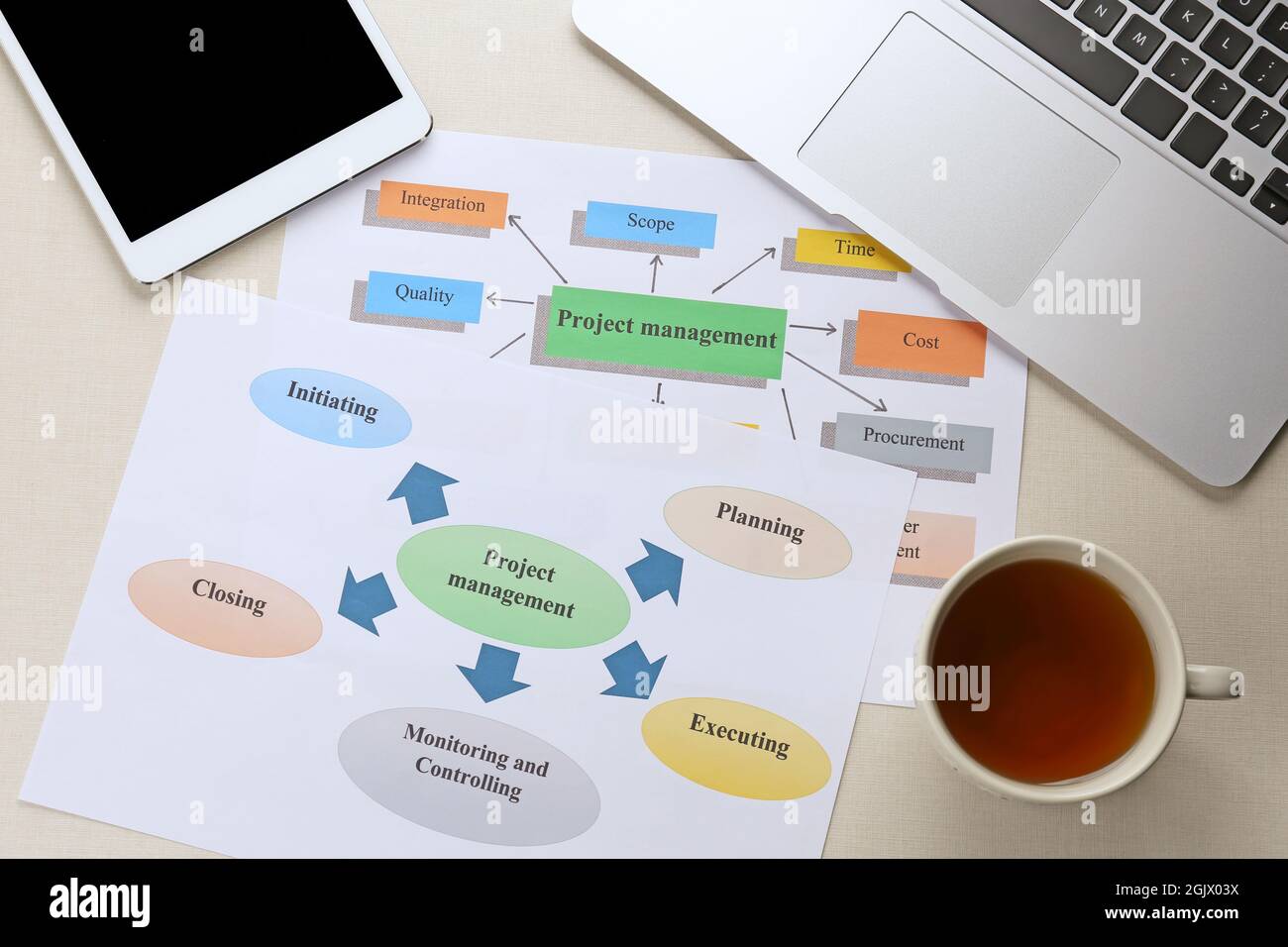 Diagram with printed features of PROJECT MANAGEMENT on light background ...