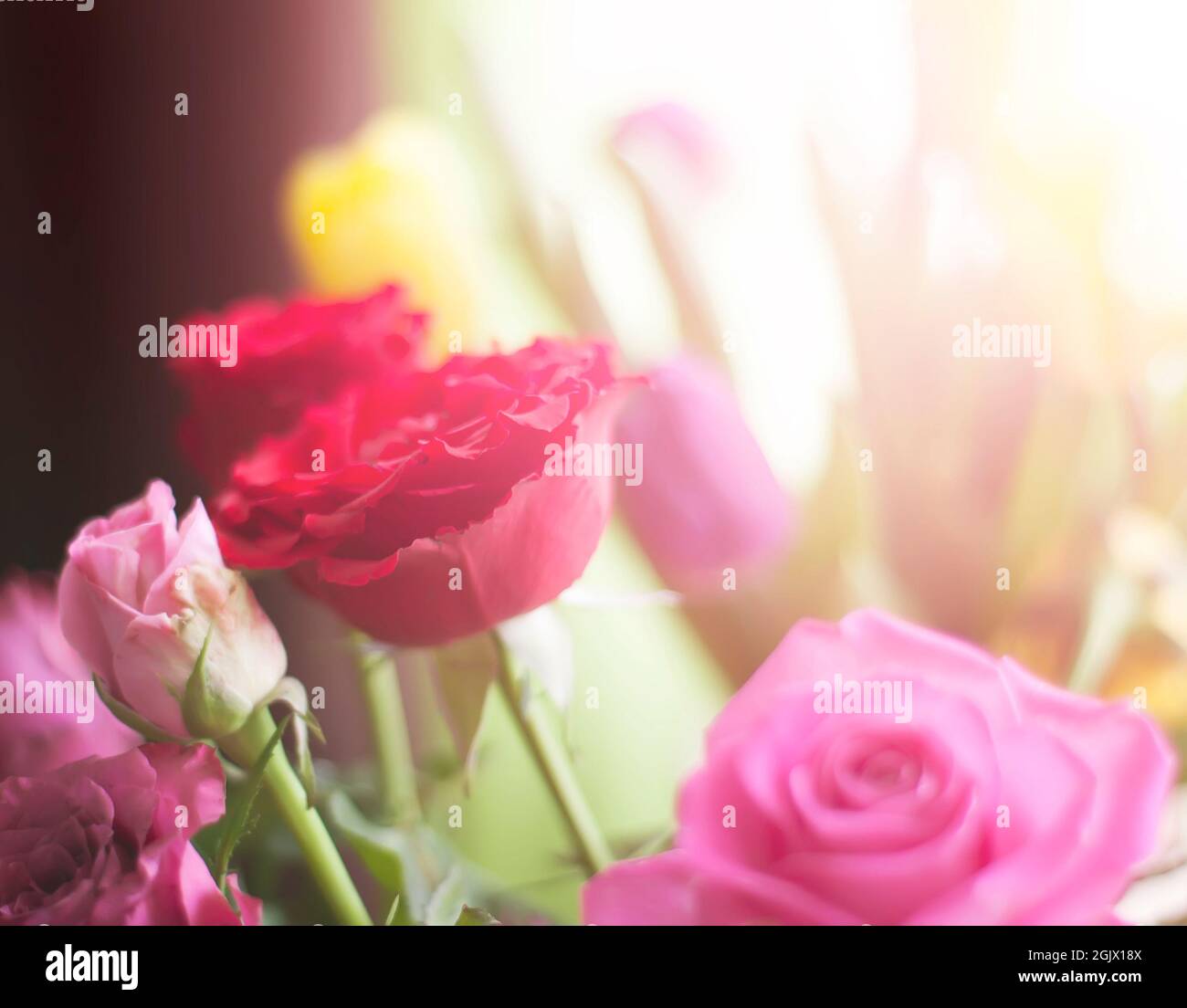 Beautiful bouquet of pink and red rose flowers Stock Photo - Alamy