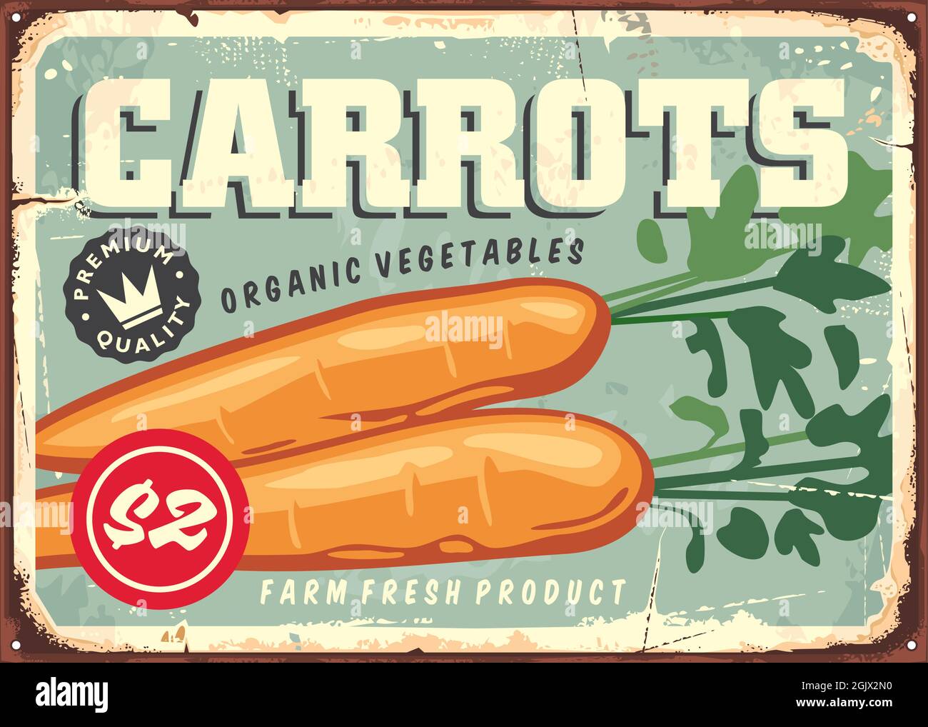 Carrots vintage sign layout on old metal background. Farming and ...