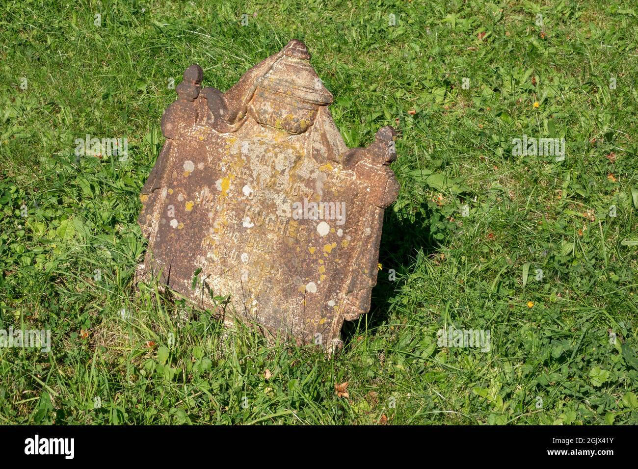 Hughs hi-res stock photography and images - Alamy