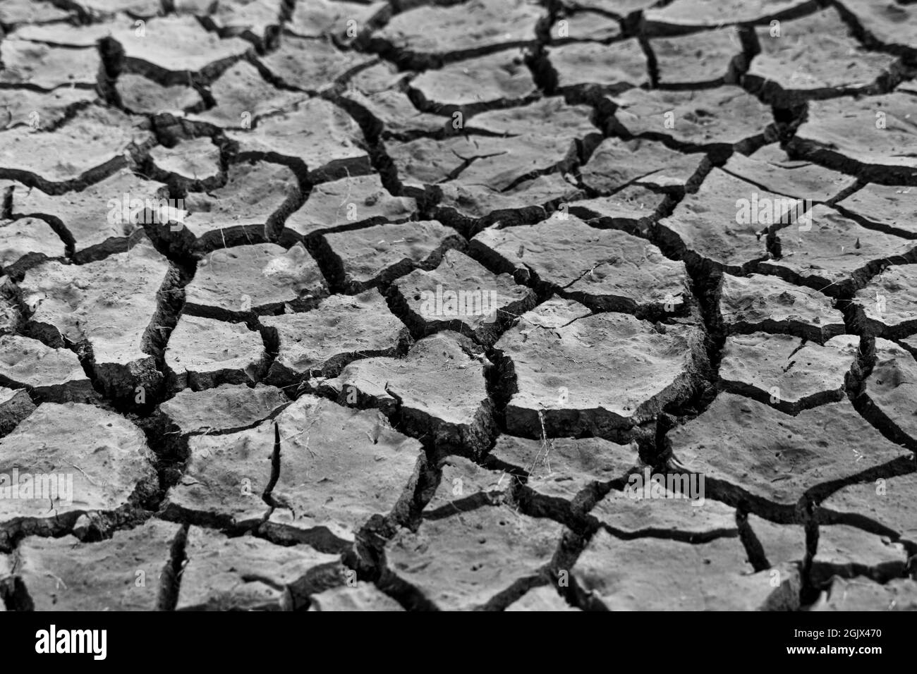 Mudflat cracked desert barren surface for natural background, layer ...
