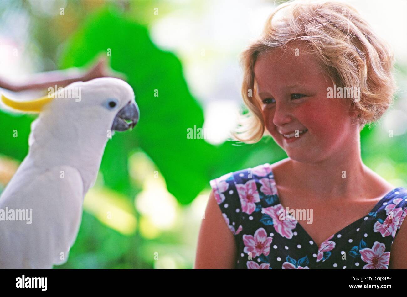 Australia. Young girl child close up with sulphur-crested cockatoo ...