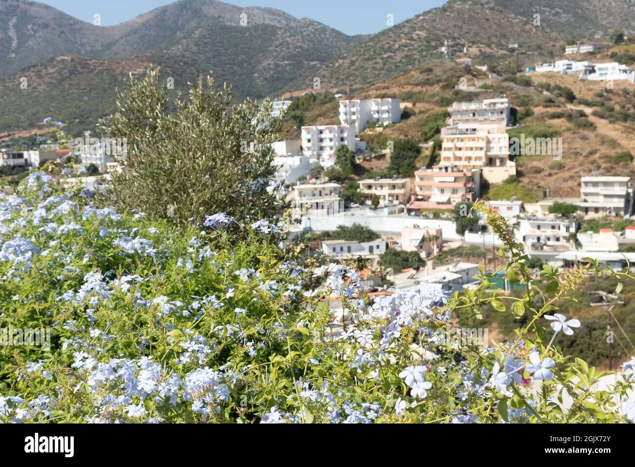 A resort town on the mountains in Crete, Greece Stock Photo - Alamy