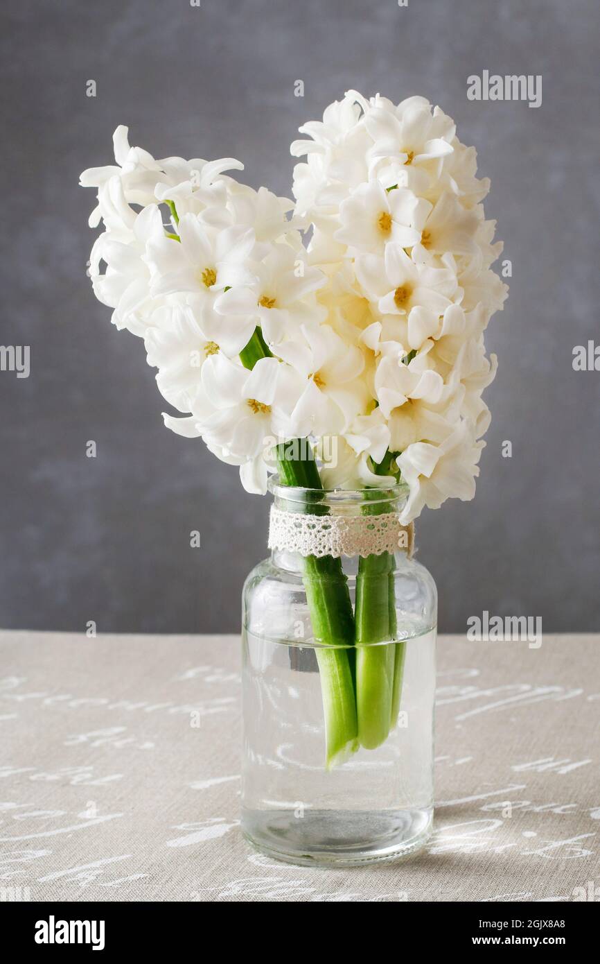 White hyacinths in glass vase. Home decor Stock Photo - Alamy
