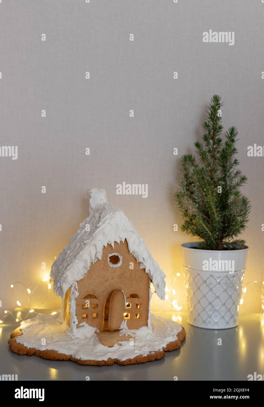 Homemade gingerbread house, potted Christmas tree in living room Stock ...