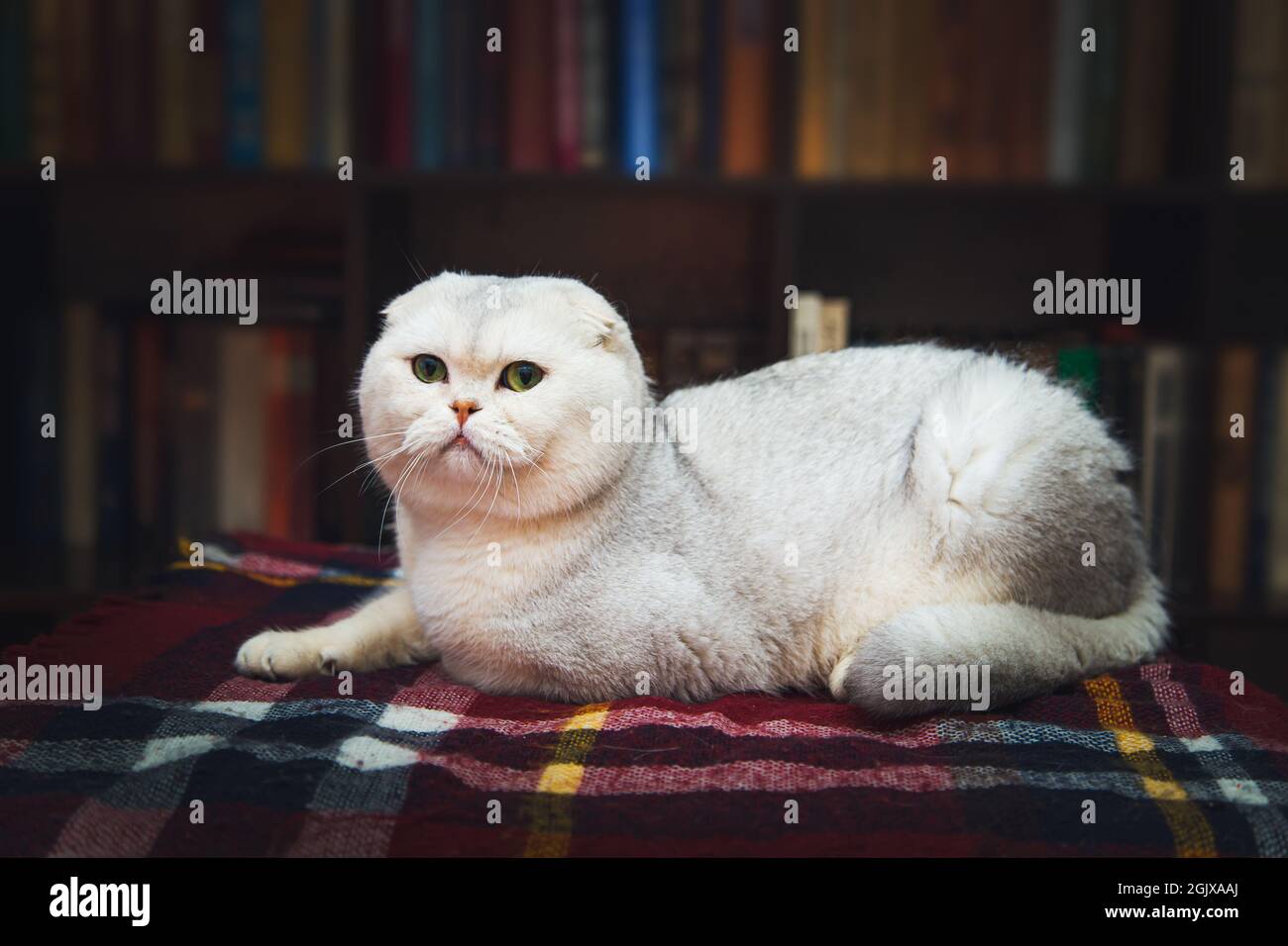 The british library interior hi-res stock photography and images - Alamy