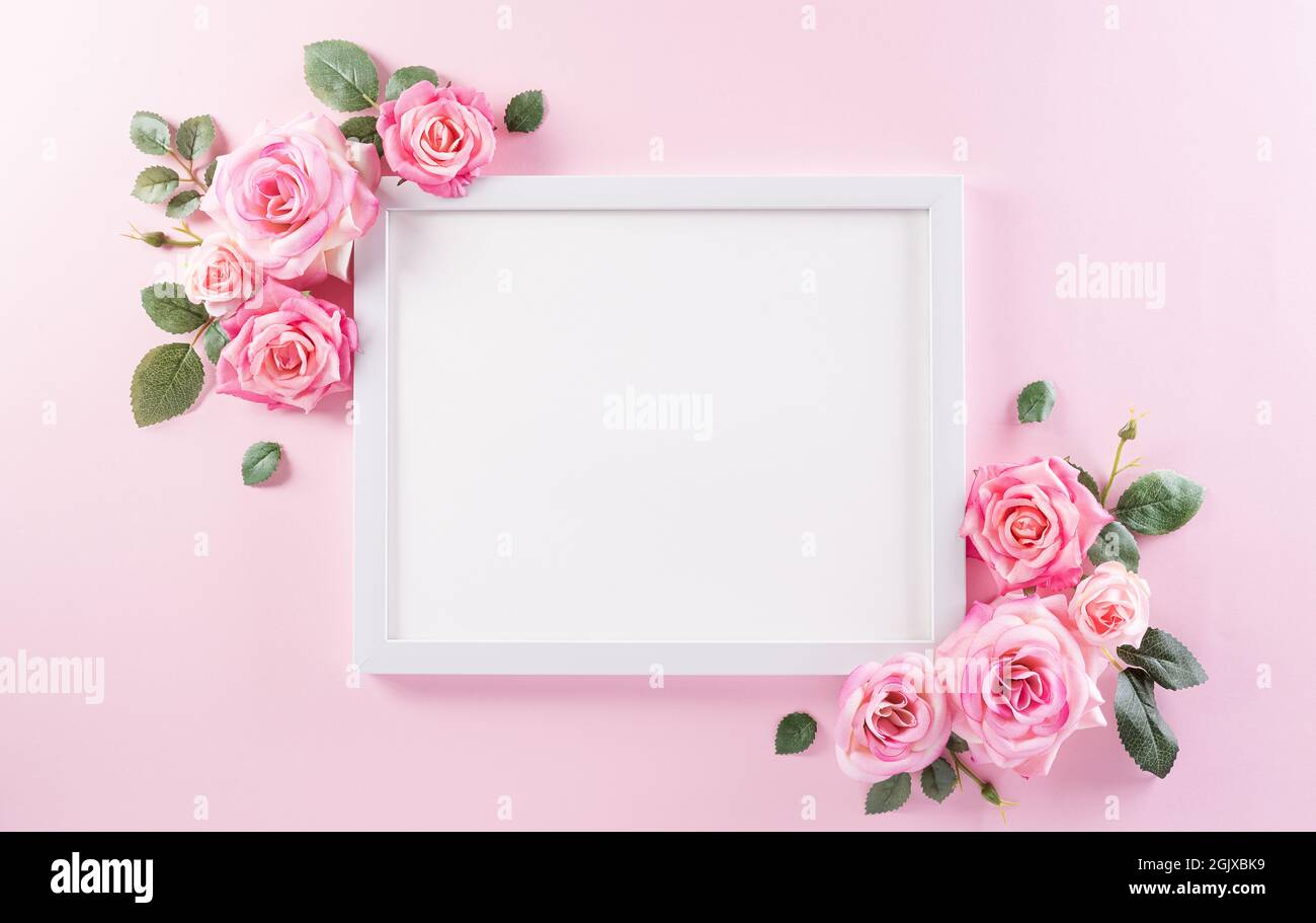 Happy women's day concept, pink roses with white picture frame on ...