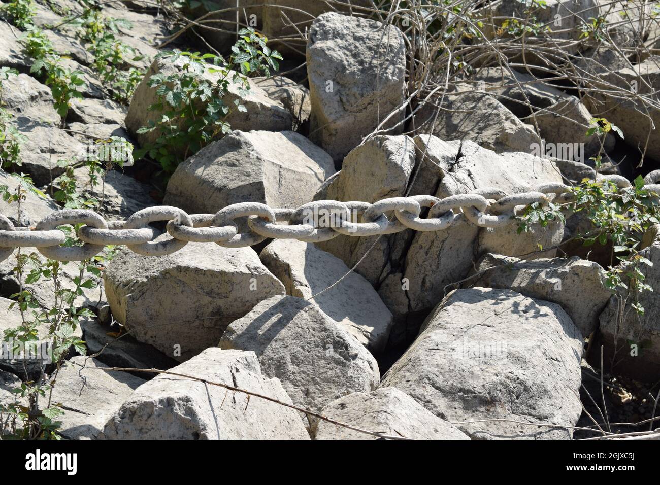 rocks at the Rhine with a chain Stock Photo - Alamy