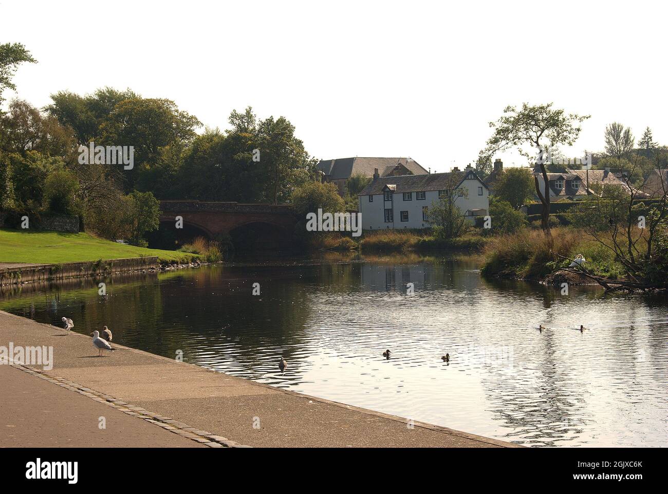 Callander wildlife hi-res stock photography and images - Alamy