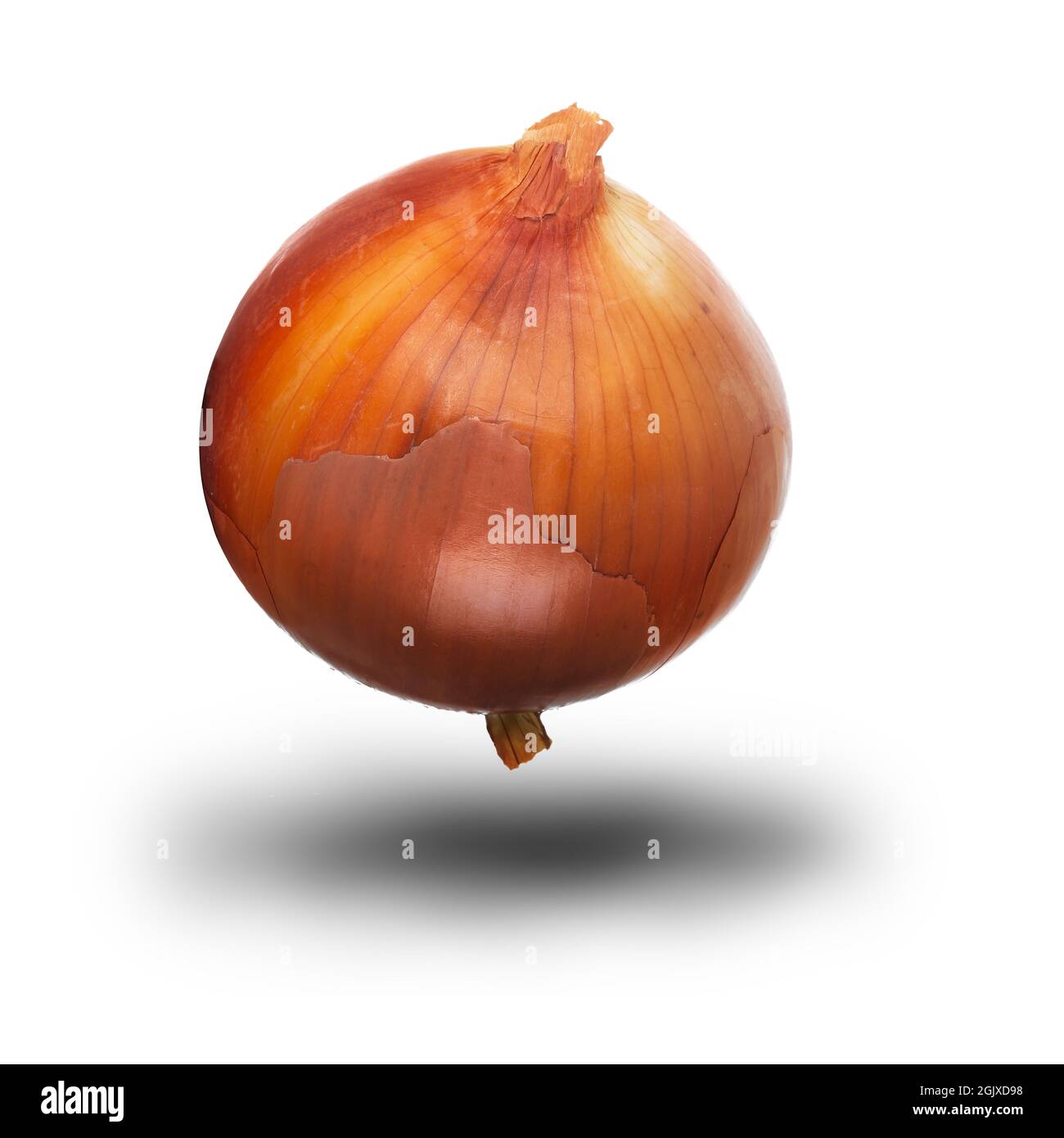 Large whole onion isolated on white with a shadow. Single raw healthy ...