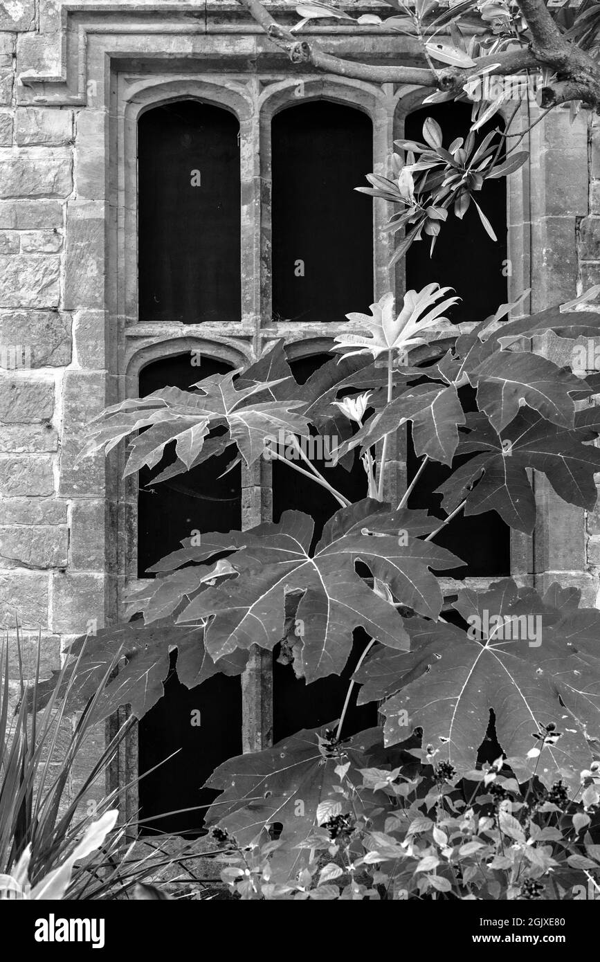 Beautiful landscape architectural detail image of old historic medieval ...
