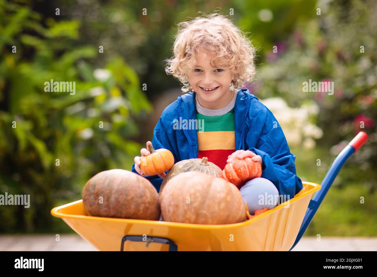 Kids in wheelbarrow on pumpkin patch. Autumn outdoor fun for children ...