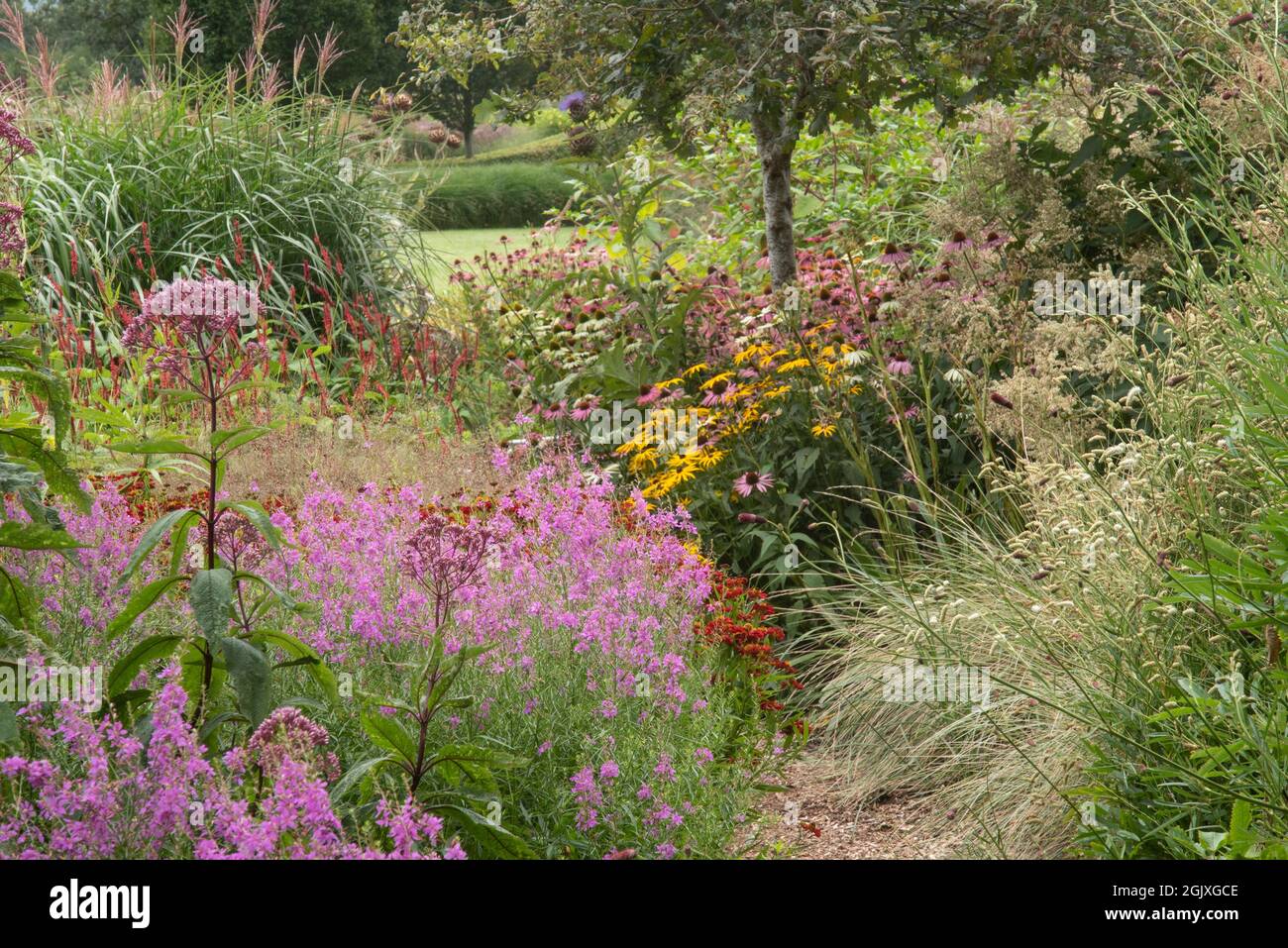 Beautiful landscape image of an English country garden with herbaceous ...