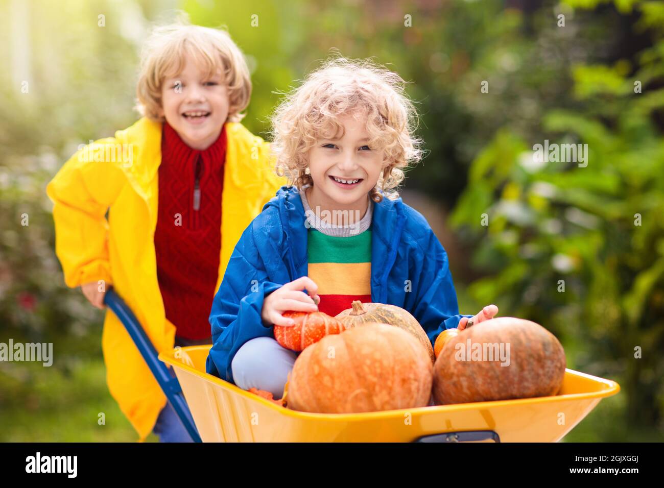 Kids in wheelbarrow on pumpkin patch. Autumn outdoor fun for children ...
