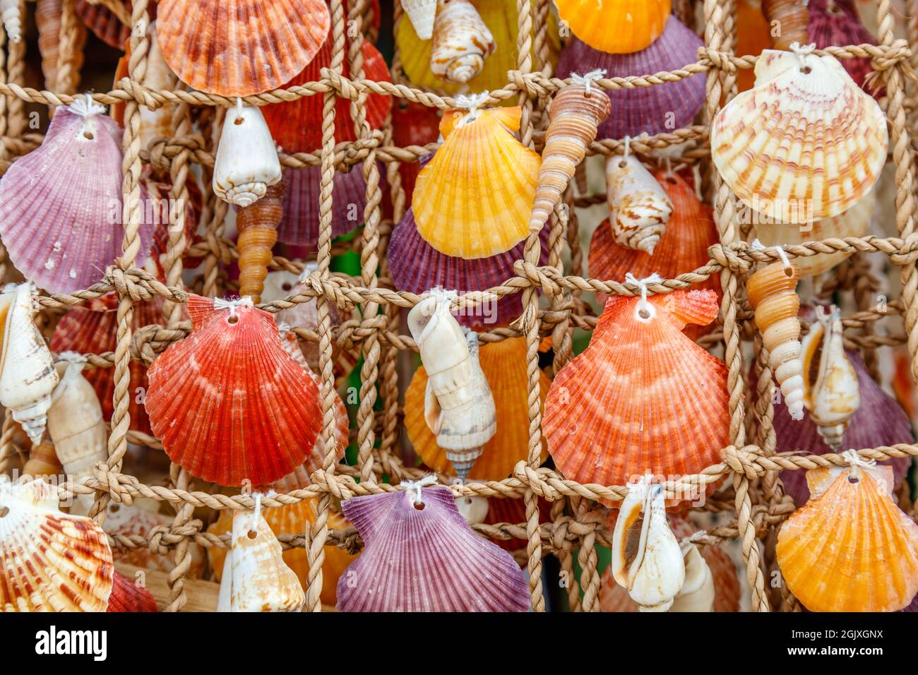 Colorful shells on a net, souvenirs on a local market on Boracay Island ...