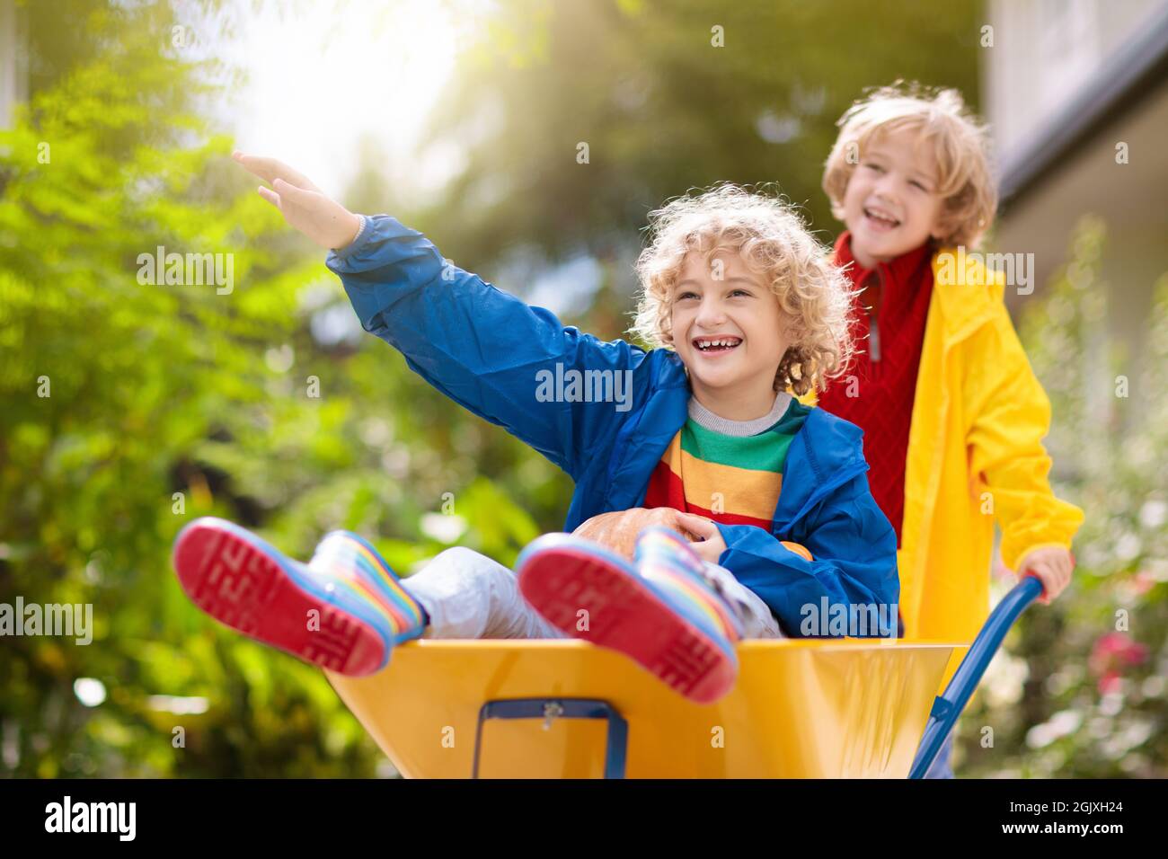 Kids in wheelbarrow on pumpkin patch. Autumn outdoor fun for children ...