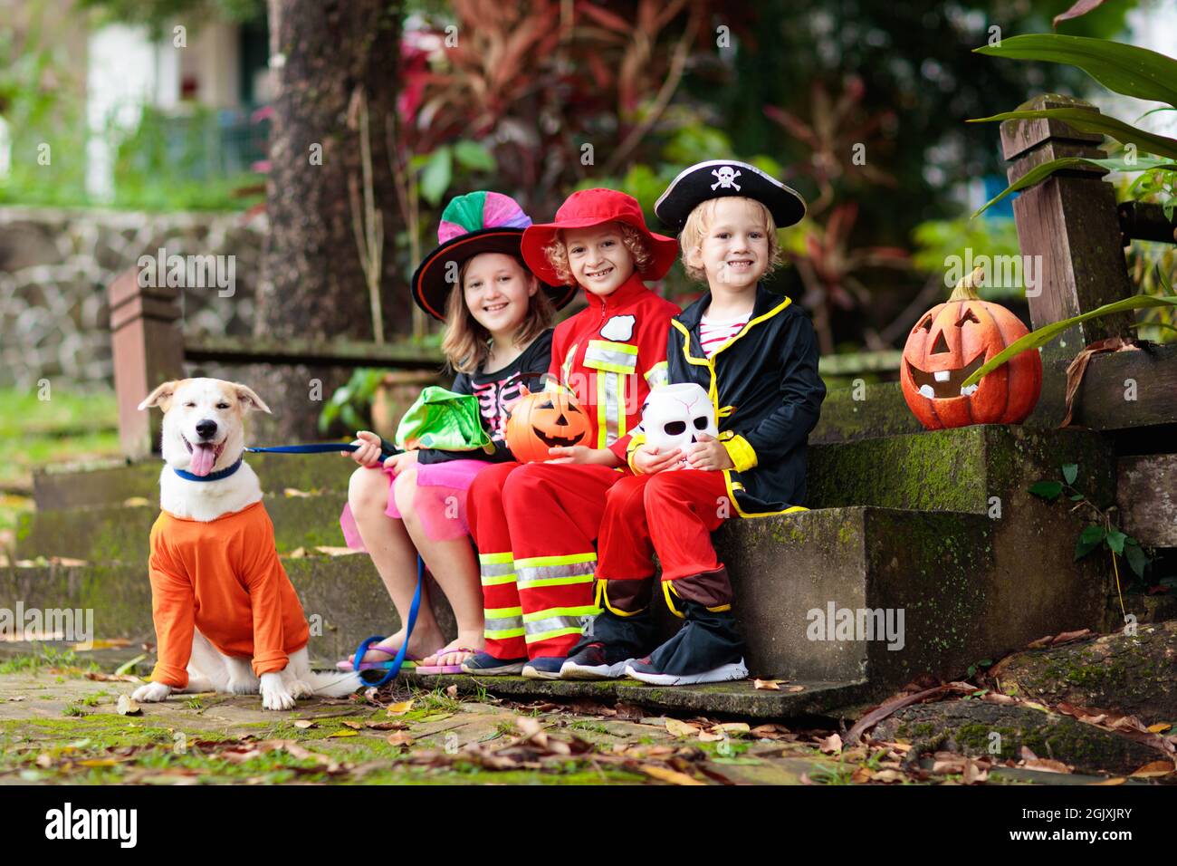 Kids trick or treat in Halloween costume. Children in colorful dress up ...