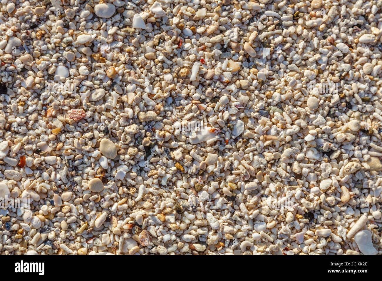 Shells and pebbles, Diniwid Beach, Boracay Island, Philippines Stock ...