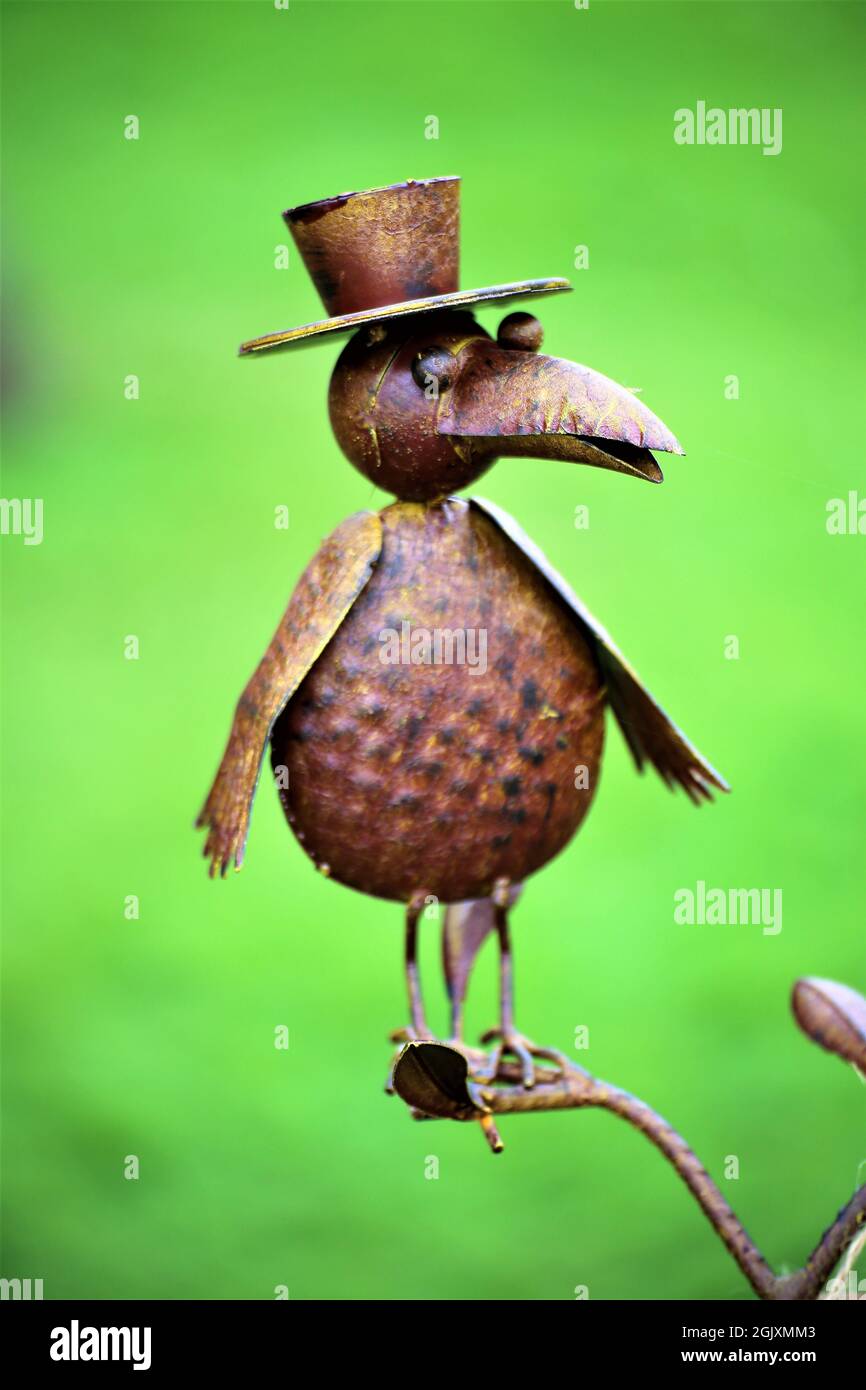 bird on a tree Stock Photo - Alamy