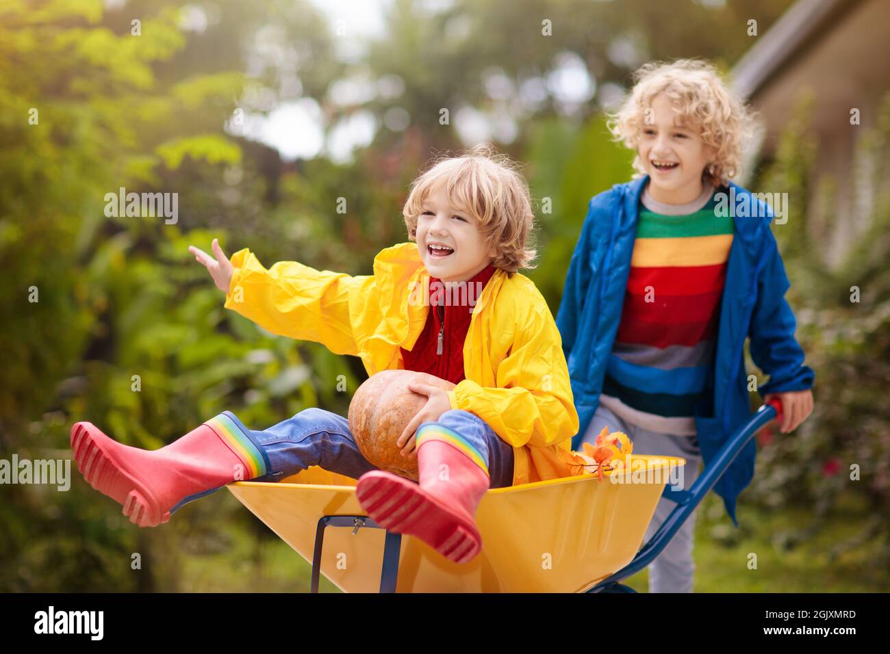Kids in wheelbarrow on pumpkin patch. Autumn outdoor fun for children ...