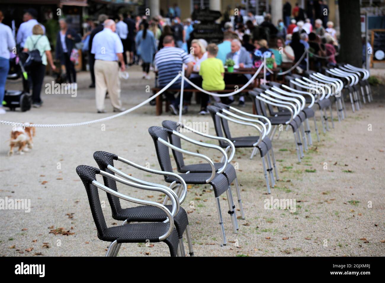 rows of chairs in a row Stock Photo - Alamy