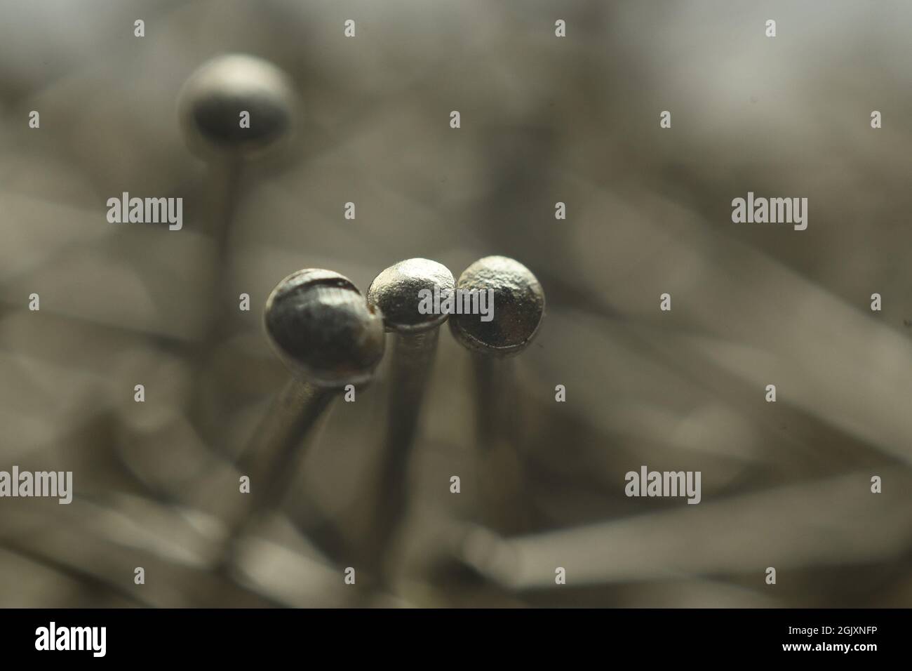 shiny silver sewing pins macro image with blurry background Stock Photo ...